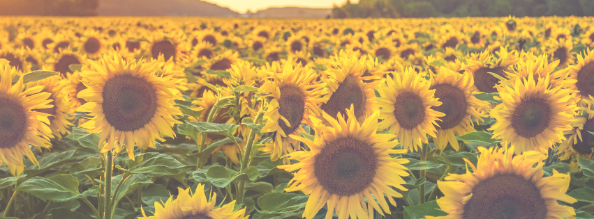 Sunflower Lanyard – Discreet Support for Hidden Disabilities